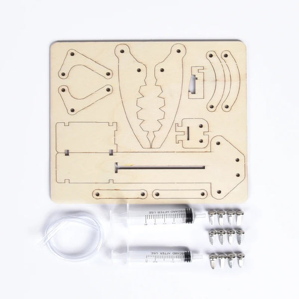 Hydraulic Mechanical Arm DIY Puzzle Pack STEM Toy | Science Education ...